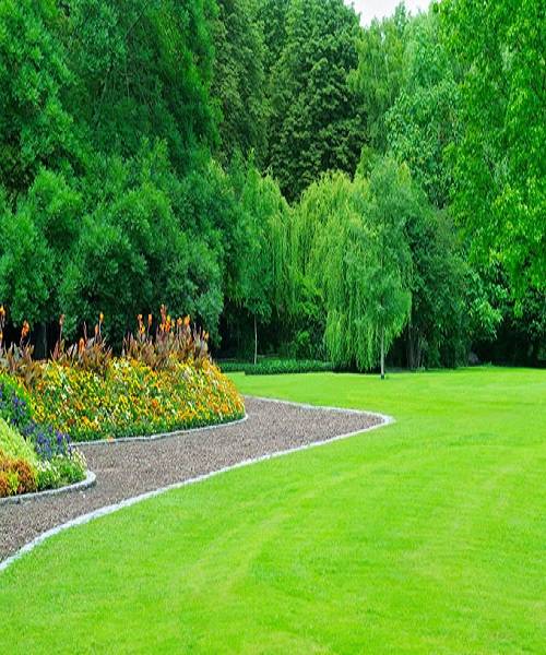 Giant Gardeners | Items | Qatar Living Classifieds