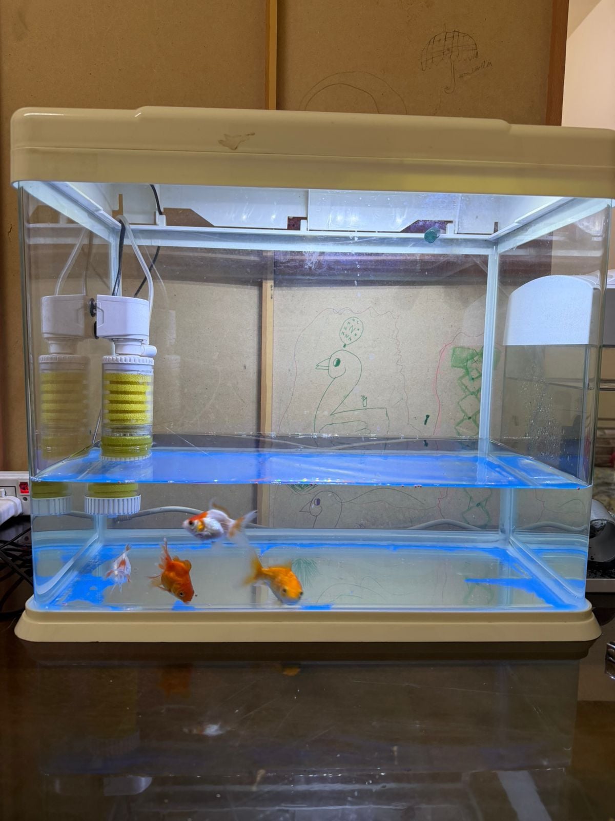 Aquarium and 4gold fish for sale | Items | Qatar Living Classifieds ...