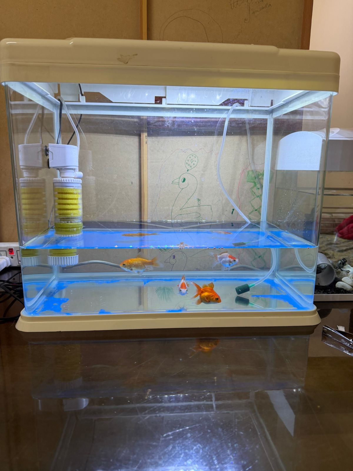 Aquarium and 4gold fish for sale | Items | Qatar Living Classifieds ...