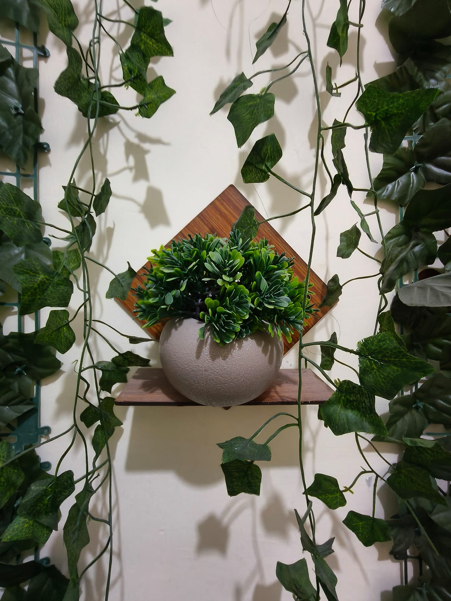 Wall Decor, Artificial Plants & Climbers | Items | Qatar Living ...